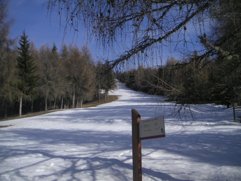 Sortie de Véronique : Mont Pelat et Morbié depuis les Allues (St Pierre ...